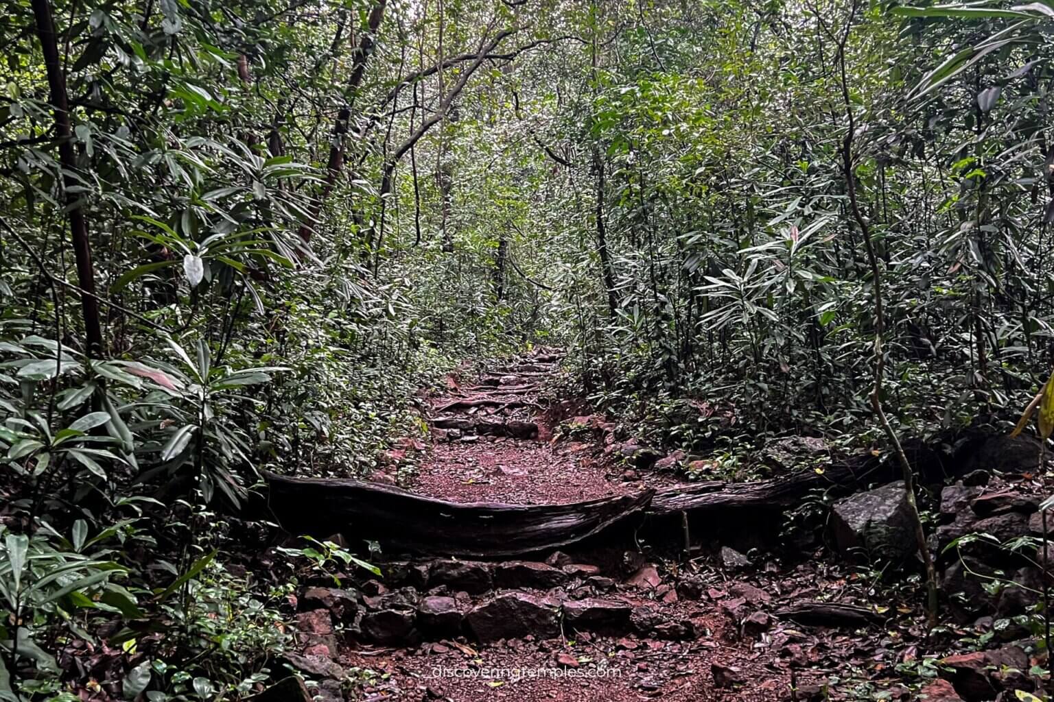 Bhimashankar Jyotirlinga & Temples hidden in Bhimashankar Forest ...